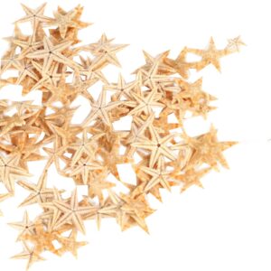 ogrmar small starfish star sea shell beach craft 0.4"-1.2" 90 pcs