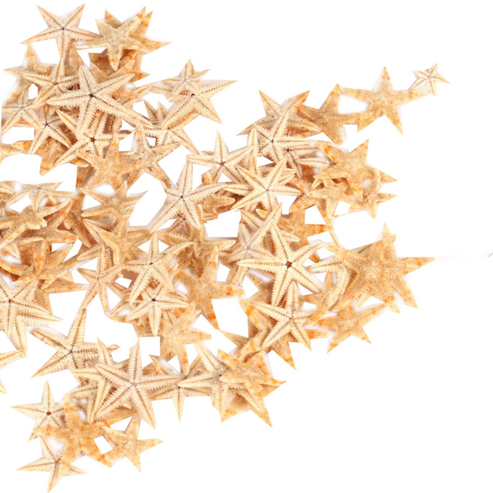 Ogrmar Small Starfish Star Sea Shell Beach Craft 0.4"-1.2" 90 Pcs