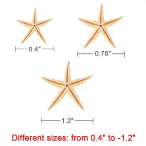 Ogrmar Small Starfish Star Sea Shell Beach Craft 0.4"-1.2" 90 Pcs