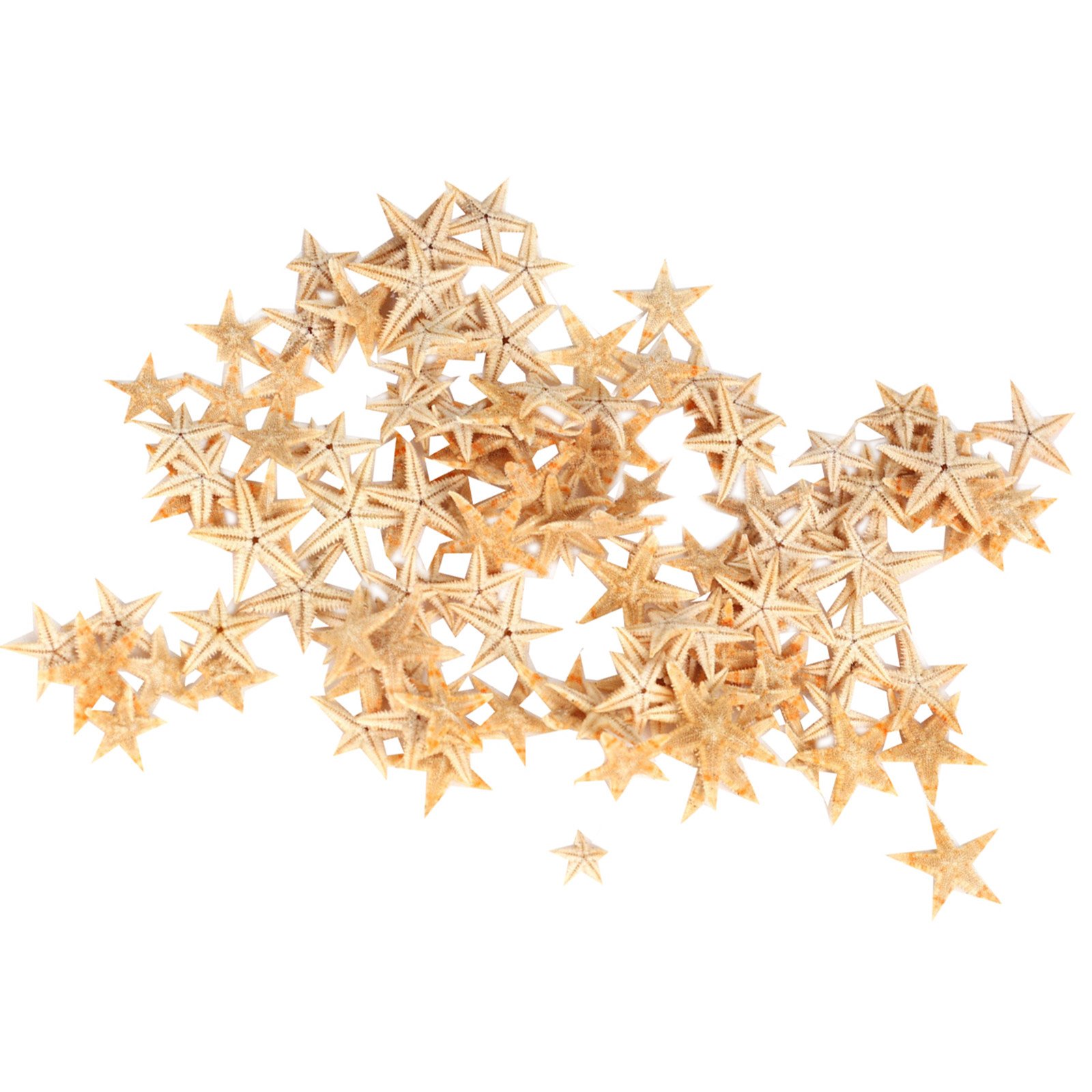 Ogrmar Small Starfish Star Sea Shell Beach Craft 0.4"-1.2" 90 Pcs