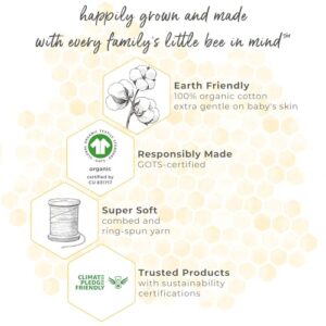 Burt's Bees Baby Baby Beekeeper Wearable Blanket, 100% Organic Cotton, Swaddle Transition Sleeping Bag, A Bee C Cloud, Small