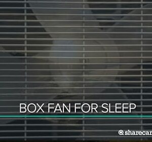 Box Fan medium 8 Hours for Sleep