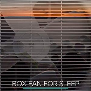 Box Fan medium 8 Hours for Sleep