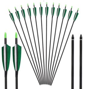 huntingdoor pure carbon arrows 31inch 400spine archery arrows feather fletching screw-in field points targeting arrows for compound bow recurve bow 6/12 pack