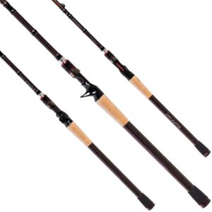 big sexy favorite casting rod