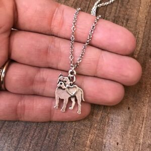 Pitbull Charm Necklace, Pitty Dog Lover Gift, Silver Metal with Heart Pendant on a Chain, Ladies I Love Pit Bull Short Hair