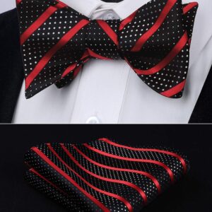 HISDERN Bow Ties for Men Red Bow Tie Self Tie Stripe Bowtie Handkerchief Set Adjustable Formal Tuxedo Black Polka Dot Bowties & Pocket Square Wedding