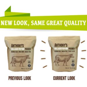 Anthony's Collagen Peptide Powder, 1 lb, Pure Hydrolyzed, Gluten Free, Keto and Paleo Friendly, Grass Fed, Unflavored, Non GMO