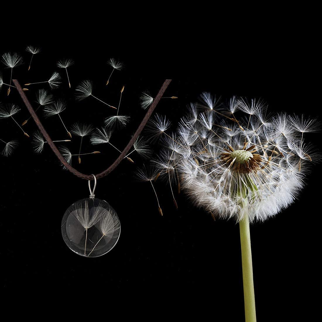 Real Dandelion Dandelion Necklace Real Dandelion Seed, Wish Necklace Nature Jewelery Good Luck Charm