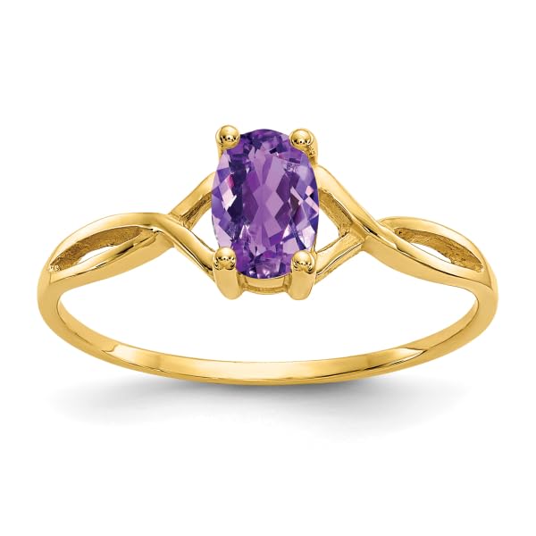 IceCarats 10K Yellow Gold Purple Amethyst Ring Gemstone Band February Birthstone Jewelry Size 7.00