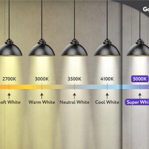 Goodlite G-19752 Edison LED 4.5 W Bulb E26 Base T10 Shape 60 W Equivalend 500 Lumens Filement Super White 5000k Dimmable