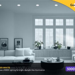 Goodlite G-19752 Edison LED 4.5 W Bulb E26 Base T10 Shape 60 W Equivalend 500 Lumens Filement Super White 5000k Dimmable