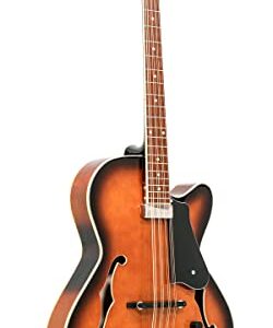 Gold Tone Mandocello: Mandocello with Pickup and Case