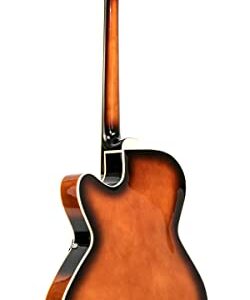 Gold Tone Mandocello: Mandocello with Pickup and Case