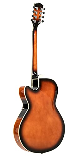 Gold Tone Mandocello: Mandocello with Pickup and Case