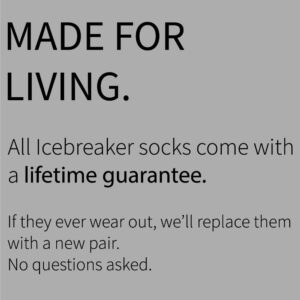 Icebreaker Merino womens Medium Cushion Wool for Women hiking socks, Black, Large US