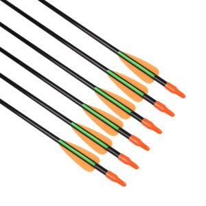 Huntingdoor 28inch/26inch Archery Targeting Arrows Youth Arrows Practice Arrows for Kids Beginner Fiberglass Arrows for Recurve Bow 12 Pack (Black 28inch)