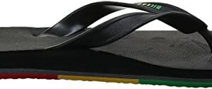 Billabong Men's All Day Logo Sandal Flip Flop, Rasta, 8 Regular US