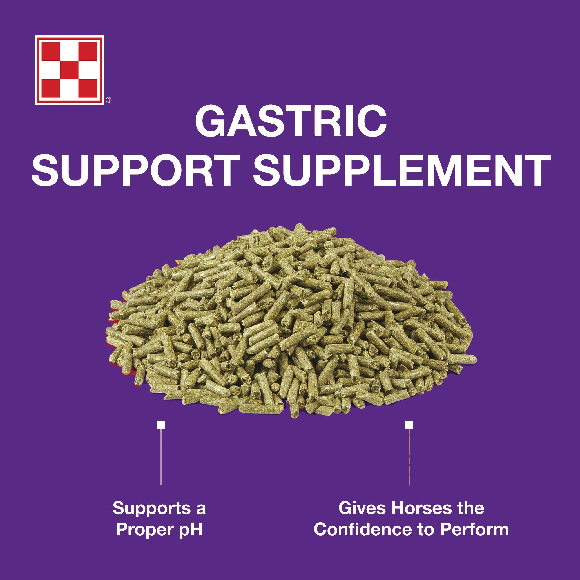 Purina® Outlast® Gastric Support Supplement, 40 lb