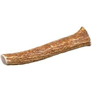 cz grain large grade a deer antlers for dogs, naturally shed deer antlers, organic deer antlers, all natural deer antler chews, naturally shed in the usa - deer antlers for dogs (size: large)