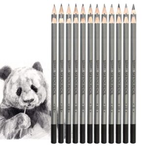 dainayw Professional Drawing Sketching Pencils Set, 24 Pieces Art Pencils (14B - 9H), Graphite Shading Pencils for Beginners & Pro Artists