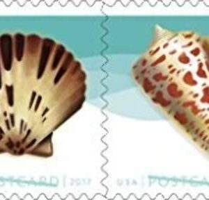 USPS Seashells Postcard Stamps, Roll of 100