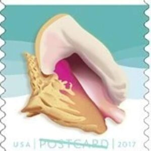 USPS Seashells Postcard Stamps, Roll of 100