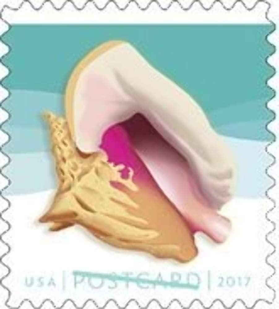 USPS Seashells Postcard Stamps, Roll of 100