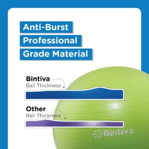 Anti-Burst Fitness Exercise Stability Yoga Ball/Swiss Gym Birthing Ball