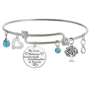 tisda the love between a grandmother and granddaughter is forever bracelet family jewelry christmas gift (c march)