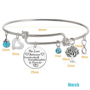 TISDA The Love between a Grandmother and Granddaughter is Forever Bracelet Family Jewelry Christmas Gift (C March)