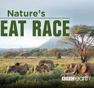 Nature's Great Race Season 1