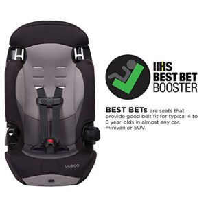 Cosco® Finale DX 2-in-1 Booster Car Seat, Dusk