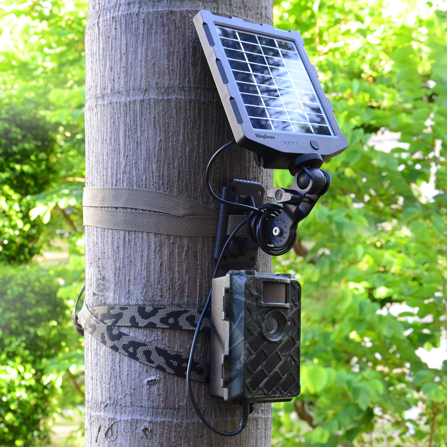 WingHome Trail Cameras Holder