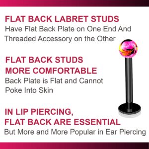 bodyjewellery 2pcs 16g 3/8 Labret Stud Lip Rings Snake Bite Monroe Tragus Forward Helix Conch Black Anodized Hand Painted 02 Ball - 10mm