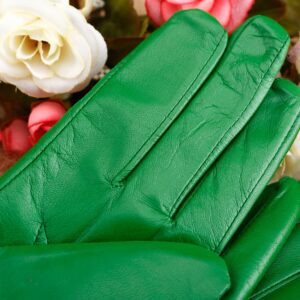 NappaNovum Women's Classic Italian Nappa Leather Gloves Lambskin Winter Comfort Lining Fashion Gloves (Touchscreen or Non-Touchscreen) (M, Green)