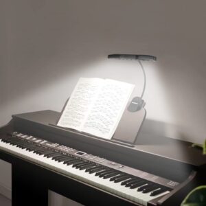 Vshinic Music Stand Light,Clip On Piano Lights 10 LED Orchestra Light,Fully Adjustable No Flicker for Piano,Book Reading, Mixing Table, DJ, Craft Work (Powered by AA Batteries, AC Adapter)