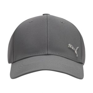 puma unisex adult stretch fit baseball cap, gray/silver, large-x-large us