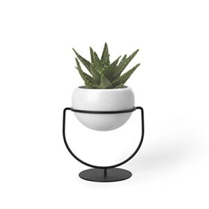 umbra 1009251-748 nesta, table top or hanging modern planter, ideal succulent plant holder, white/black,single planter