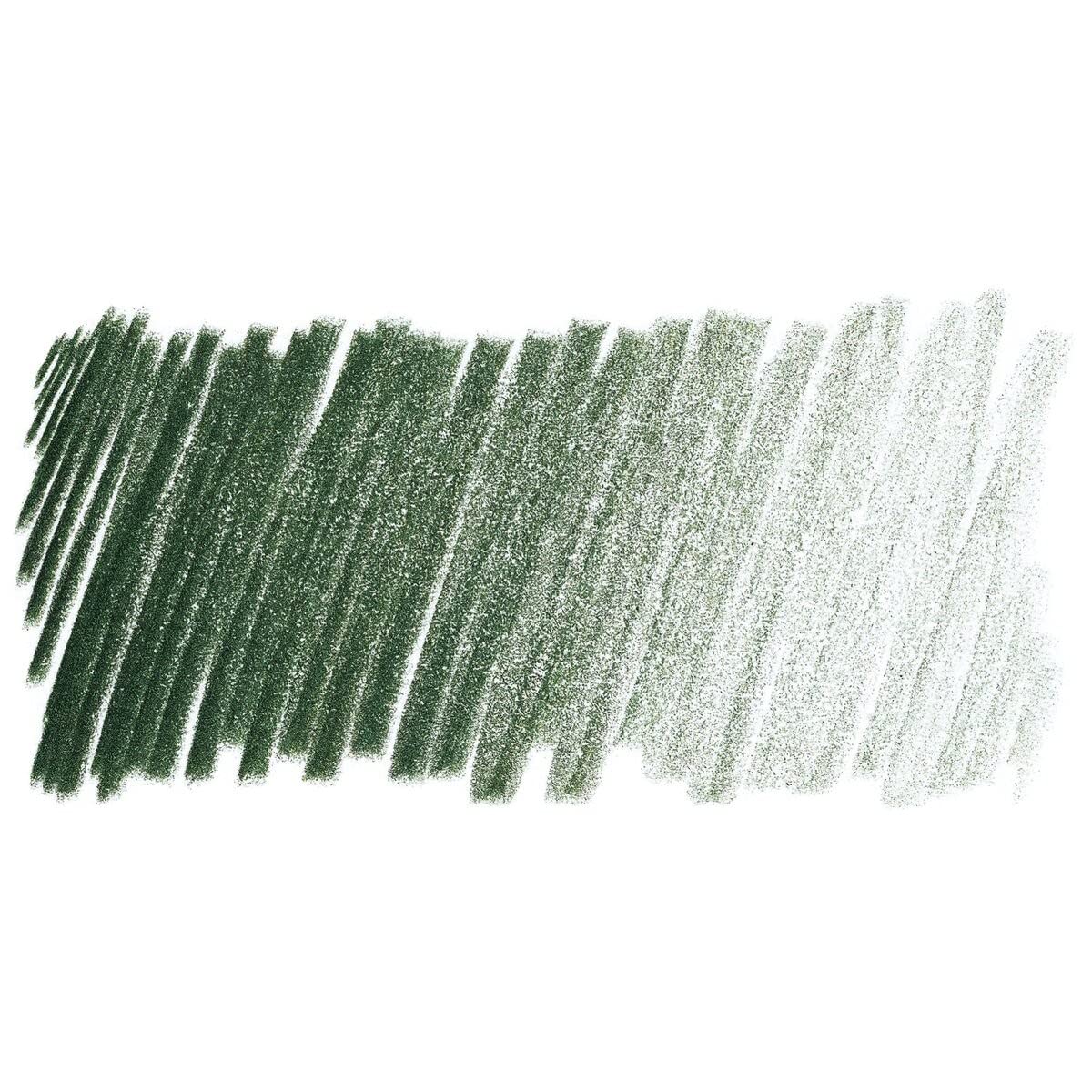 Derwent Procolour Pencils - Cedar Green 48