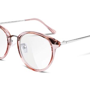 FEISEDY Women Vintage Glasses Frames Round Eyewear Clear Lens B2260