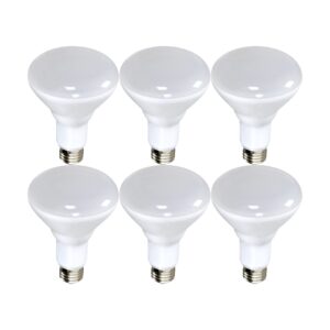 (total of 6 led bulbs) satco s9698, 8br30/led/2700k/650l/2pk, led light bulb