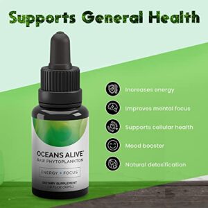 Chlorophyll Algae Supplement, Chlorophyll Marine Phytoplankton by Activation Products 1 Month Supply | Oil Memory and Focus Mineral Trace Supplements - Microalgae Oil for Energy and Stress - 30 ml