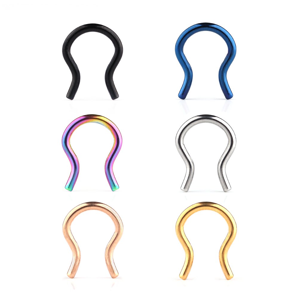 Ruifan 6PCS 316L Surgical Steel U-Shaped & Staple Nose Septum Hanger Retainer Nose Ring 16g (Mix Colors 2#)