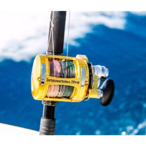 Reels Saltwater Lever Drag PENN INT30VISXS International Leverdrag Conventional 2-Speed Reel 30