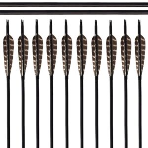 ARCHERY SHARLY 31Inch Carbon Targeting Practice Arrows Turkey Feather Fletching Arrows with Removable Tips for Recurve Traditional Long Bow (12 Pack)