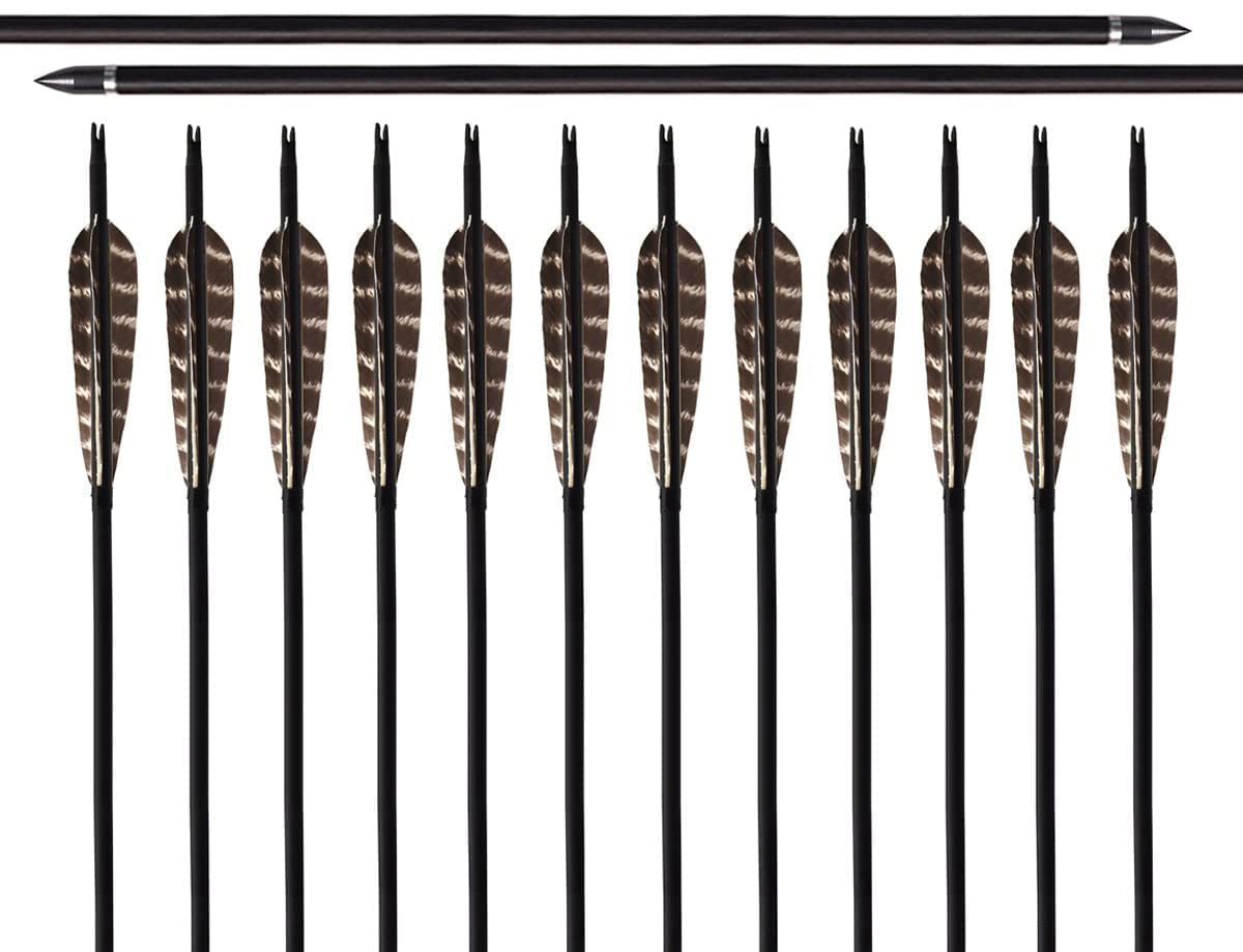 ARCHERY SHARLY 31Inch Carbon Targeting Practice Arrows Turkey Feather Fletching Arrows with Removable Tips for Recurve Traditional Long Bow (12 Pack)