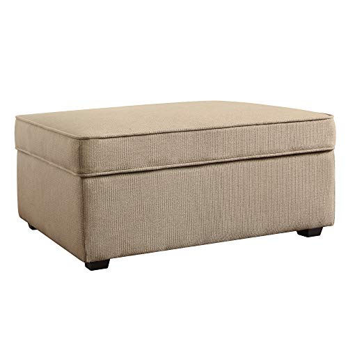 Serta Olin Storage Ottoman with Lid, Contemporary Design, Hinged Lid, Can Be Used as Footrest or Extra Seat, Easy Assembly, Beige