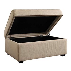 Serta Olin Storage Ottoman with Lid, Contemporary Design, Hinged Lid, Can Be Used as Footrest or Extra Seat, Easy Assembly, Beige