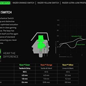 Razer BlackWidow TE Chroma v2 TKL Tenkeyless Mechanical Gaming Keyboard: Green Key Switches, Tactile & Clicky, Chroma RGB Lighting, Magnetic Wrist Rest, Programmable Macros, Classic Black